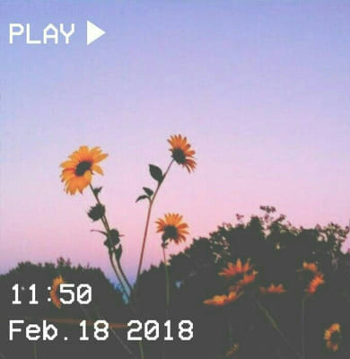 Pick somethings and ill give you an aesthetic! - Quiz | Quotev