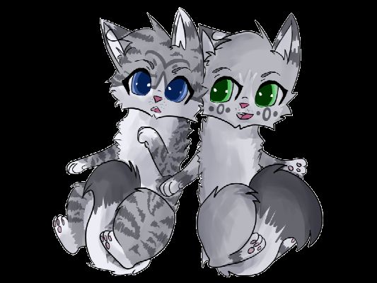 How well do you know Ivypool? - Test | Quotev