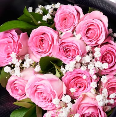 Sofia and Lizzie | Quotev