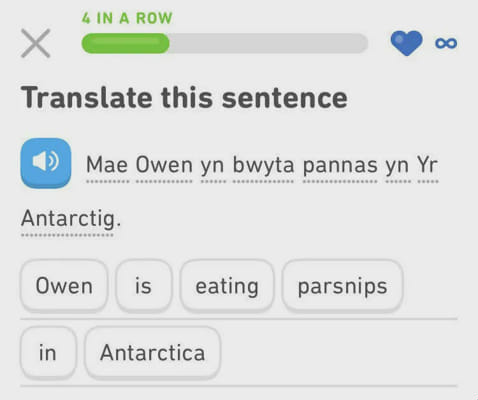 Cursed Duolingo Sentences - Quiz | Quotev