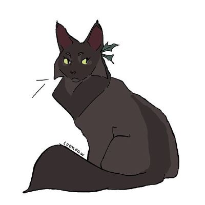 How Much Do You Know About Hollyleaf? - Test | Quotev