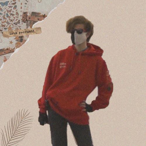 Your Dream SMP boyfriend - Quiz | Quotev