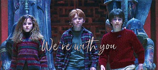 Harry Potter Poll - Survey | Quotev