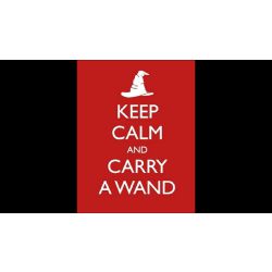 What does Harry Potter Think of You? - Quiz | Quotev