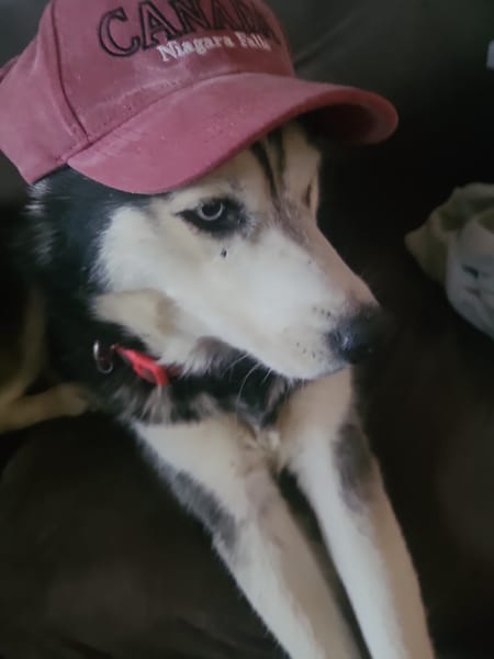 Published | Bry | Quotev