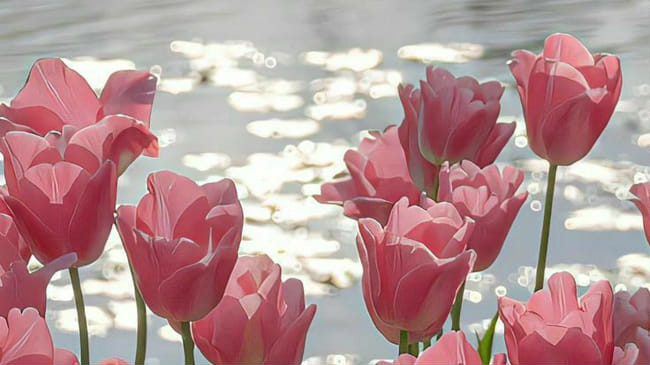 choose teenage girl canon events - Quiz | Quotev