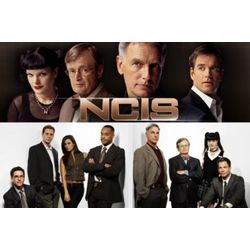 Which NCIS Character are you - Quiz | Quotev