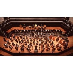 What Instrument Should You Play? - Quiz | Quotev