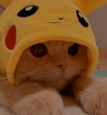 Make your own outfit and get a SL pfp•• - Quiz | Quotev