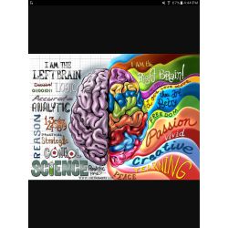 Are you Left or Right Brained? - Quiz | Quotev