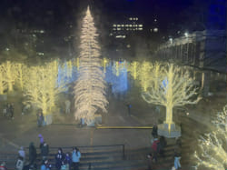 Who would you like to see more of as a POV? - Poll | Quotev