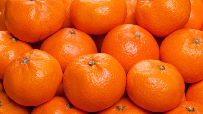 Are you A True Satsuma? - Test | Quotev
