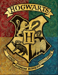 Your Hogwarts House - Quiz | Quotev