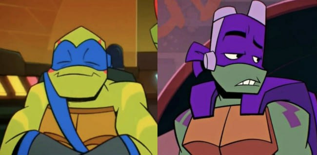 Rottmnt Leo or Donnie? - Poll | Quotev
