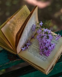 Create Your ~Perfect Book~ - Survey | Quotev