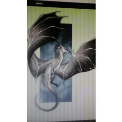 Wings Of Fire Survey/Or/Poll! - Survey | Quotev