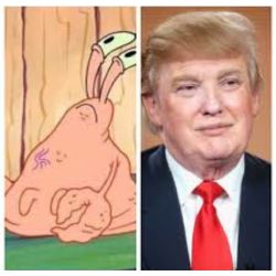 Who said it? Donald Trump or Mr. Krabs - Test | Quotev