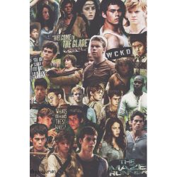 Your Maze Runner Life - Quiz | Quotev