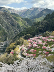 Grade 10 Climate Change - Test | Quotev