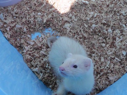 Basic Random Survey Because I Wanted To Publish Something - Survey | Quotev