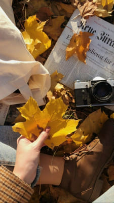 Romanticize your life and get an autumn love story (long results ...