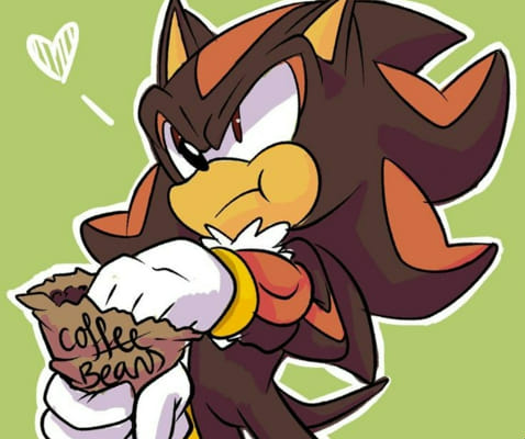 What does Shadow the Hedgehog think of you? - Quiz | Quotev