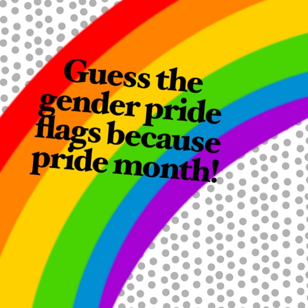 Guess the gender pride flags! - Test