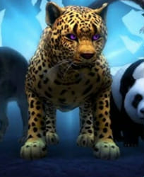 Which Spirit animals character are you - Quiz | Quotev