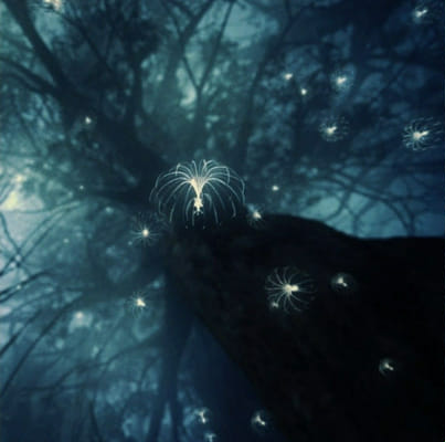 Which Na'vi clan would you belong to - Quiz | Quotev