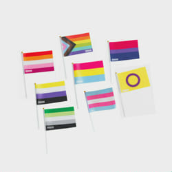 Name the LGBTQIA+ flags - Test | Quotev