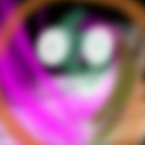 Create a Dream Entity - Survey | Quotev