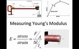 Physics- 5.4 The Young Modulus - Test | Quotev
