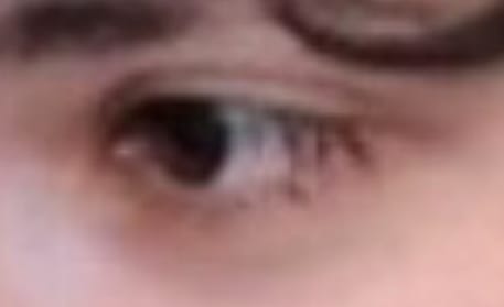 Can You Tell Who These People Are By Their Eyes? (DSMP Edition) (hard ...