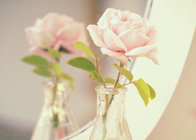 How Innocent are you? - Quiz | Quotev