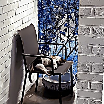 NIKOLAS ANNE ( GREENWICH ) | n | Quotev