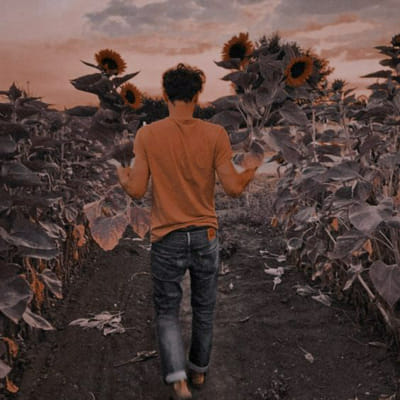 Pick aesthetics and I'll give you a book :) - Quiz | Quotev