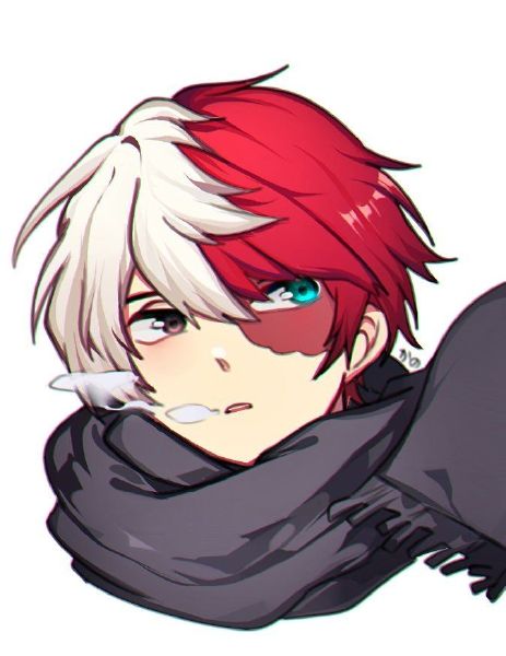 Okie Dokie Todoroki | Quotev