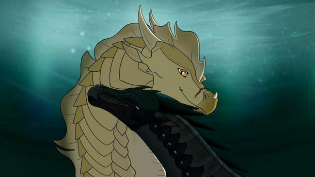 What is the BEST WoF Ship? (A Wings Of Fire Shipping Poll) - Survey ...