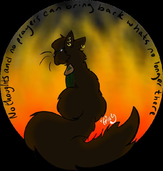 The Forever Cursed Characters as the Alices of Wonderland (Alice of ...