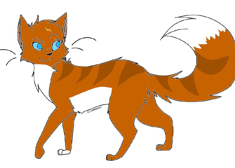 Rachel The Clarinet Cat