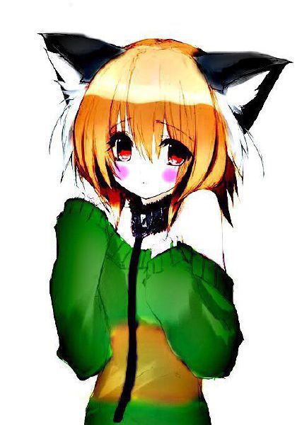 Cat Chara
