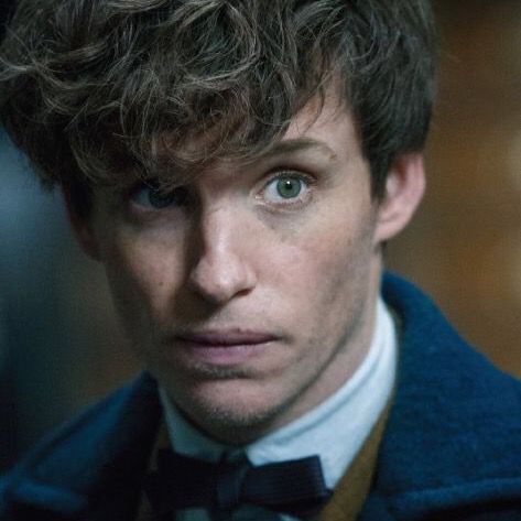 Newt Scamander