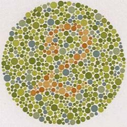 Colorblind test - Quiz