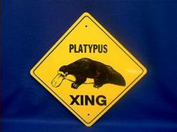 How well do you know the platypus? - Test