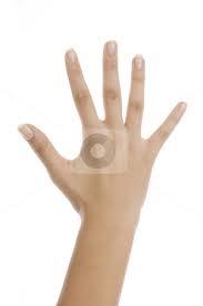 The Palm Reading Quiz - Quiz