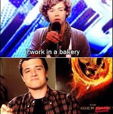 Hunger Games Prom Dress - Quiz