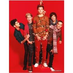 One Direction Christmas Moment - Quiz