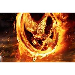 Hunger Games Prom Dress - Quiz