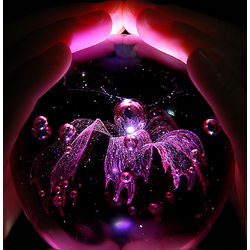 Types Of Magical Beings | Magicology