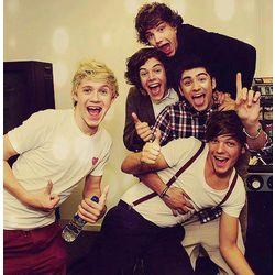 One Direction Fight (Long Results) - Quiz